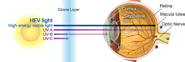 All About Blue Light - Empire Optical